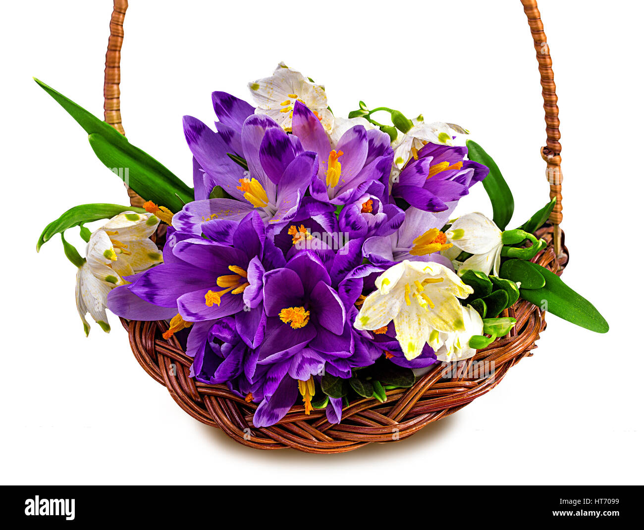 Bouquet of snowdrops Cut Out Stock Images & Pictures - Alamy