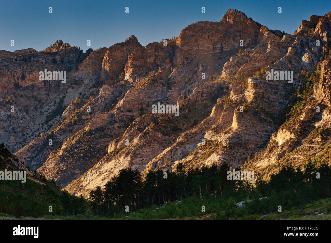 Lamoille Canyon in Ruby Mountains, sunset, near Elko, Nevada, USA Stock Photo - Alamy