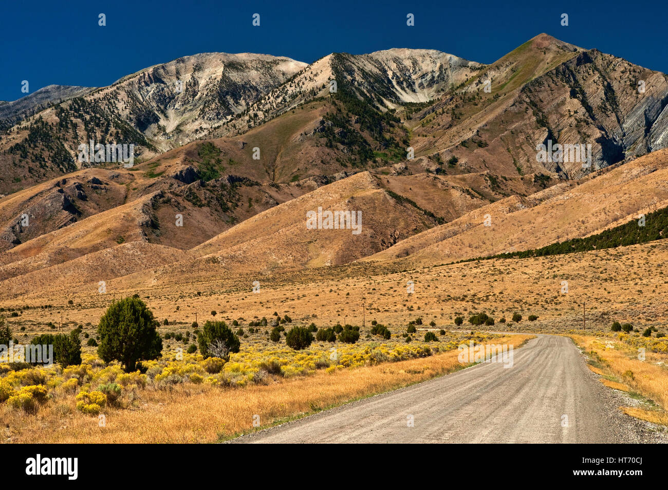 Ruby mountain nevada elko hi-res stock photography and images - Alamy