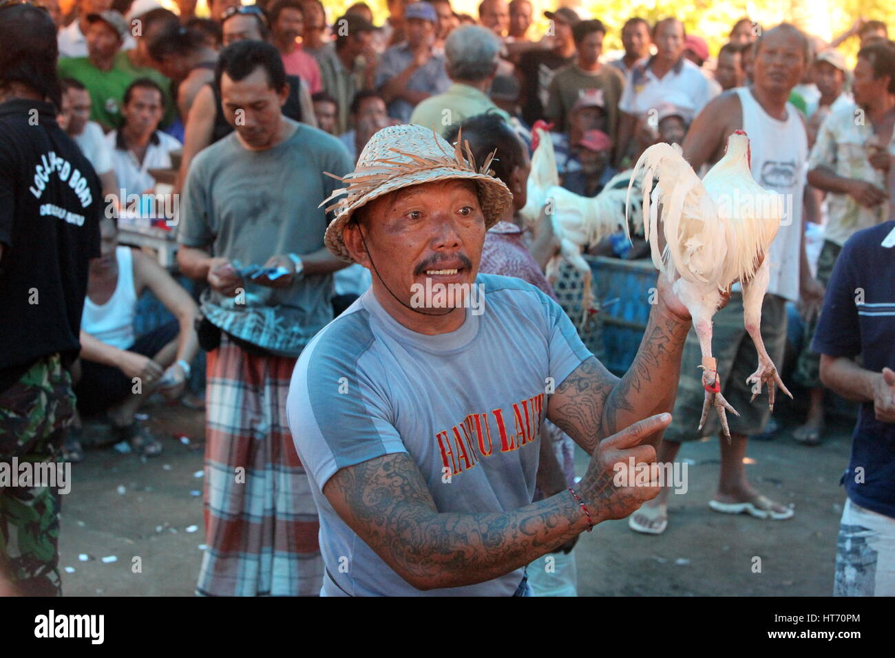 a traditional cook fight on the Island Nusa Lembongan Island near the ...
