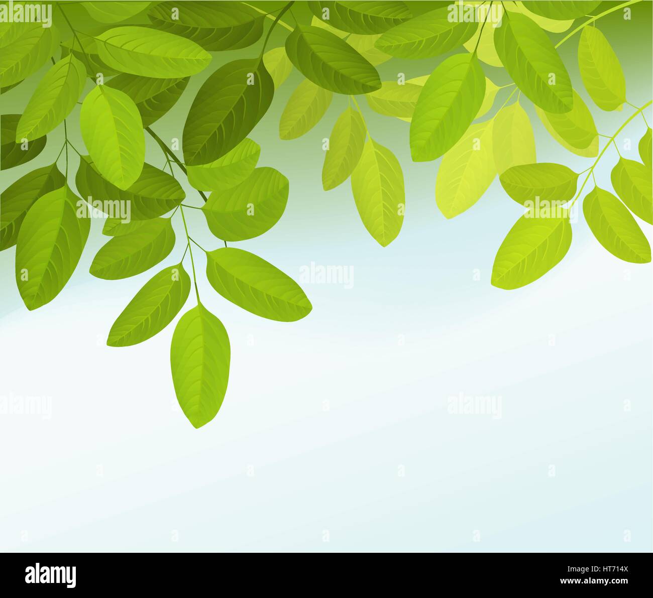 Nature background with tree leaves Stock Vector Image & Art - Alamy