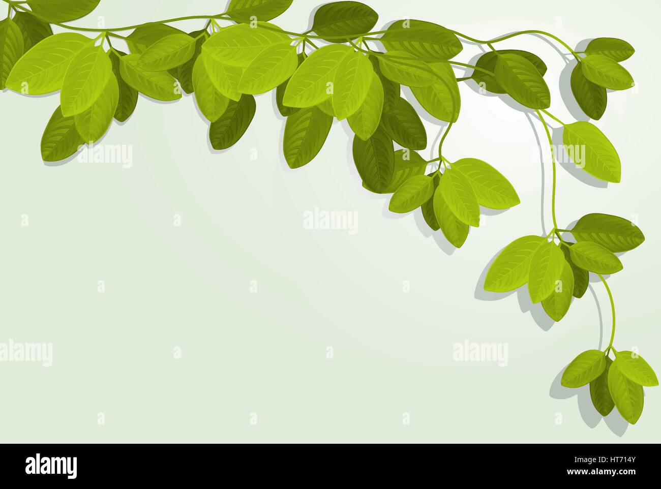 Nature background with ivy leaves Stock Vector Image & Art - Alamy