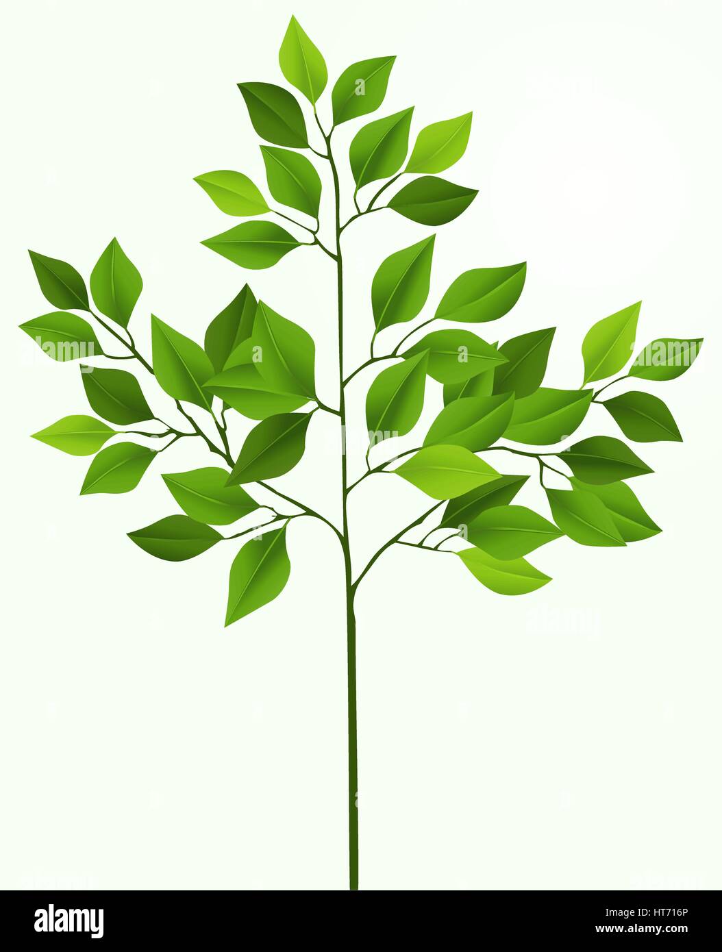 Illustration of simple vector tree Stock Vector Image & Art - Alamy
