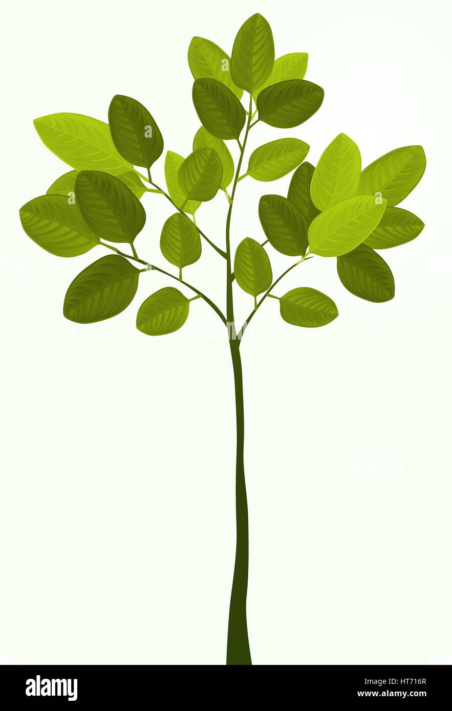 Illustration of simple vector tree Stock Vector Image & Art - Alamy