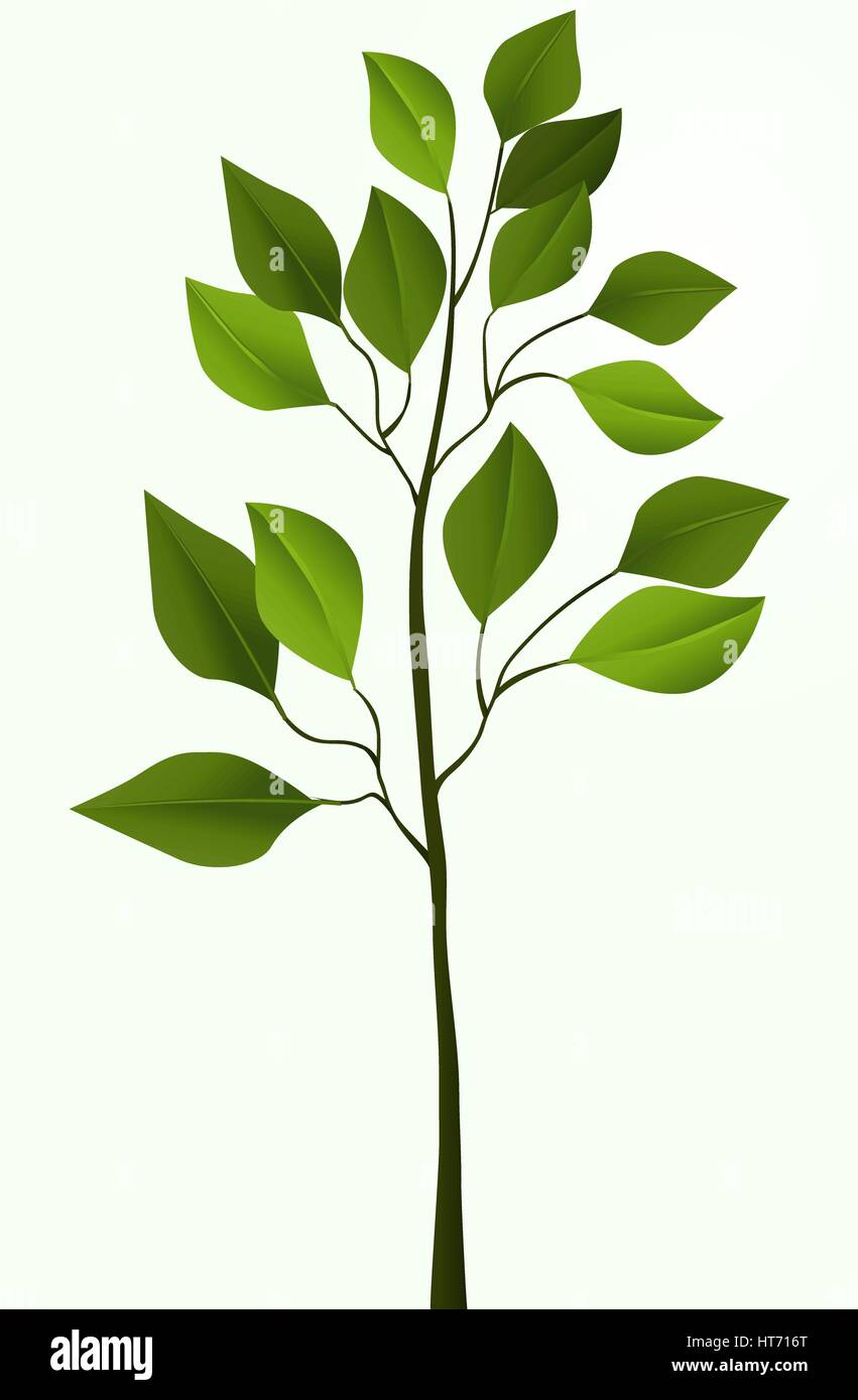 Illustration of simple vector tree Stock Vector Image & Art - Alamy