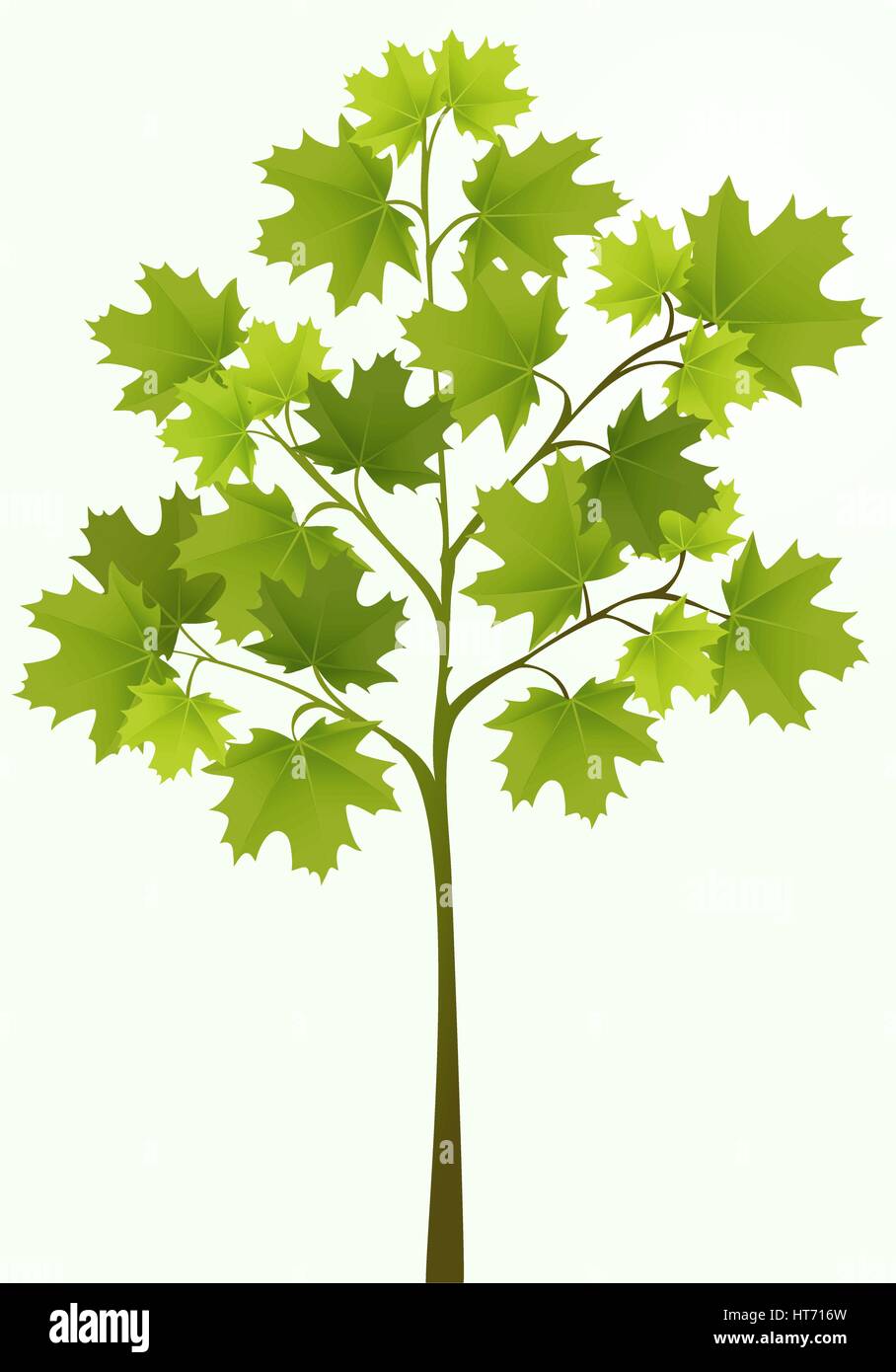 Illustration of simple vector tree Stock Vector Image & Art - Alamy