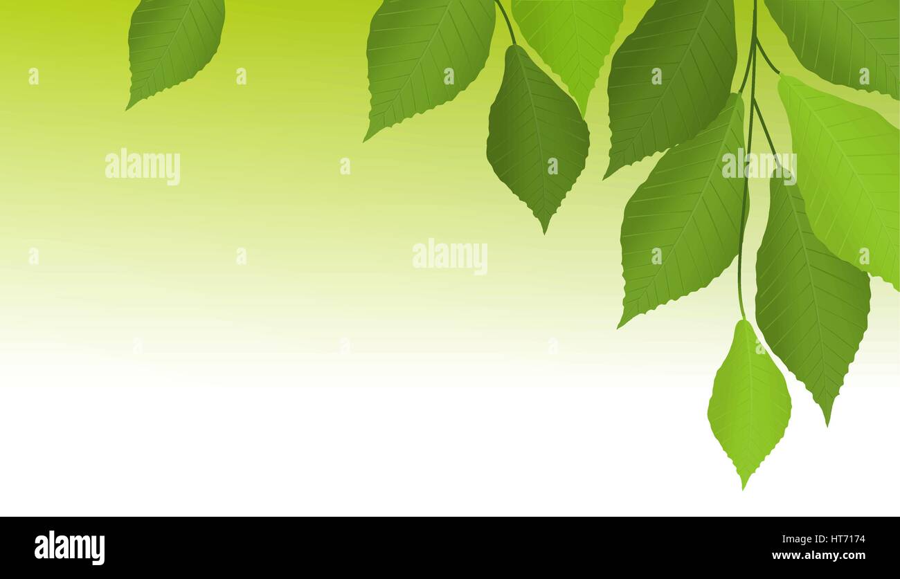 Nature background with tree leaves Stock Vector Image & Art - Alamy