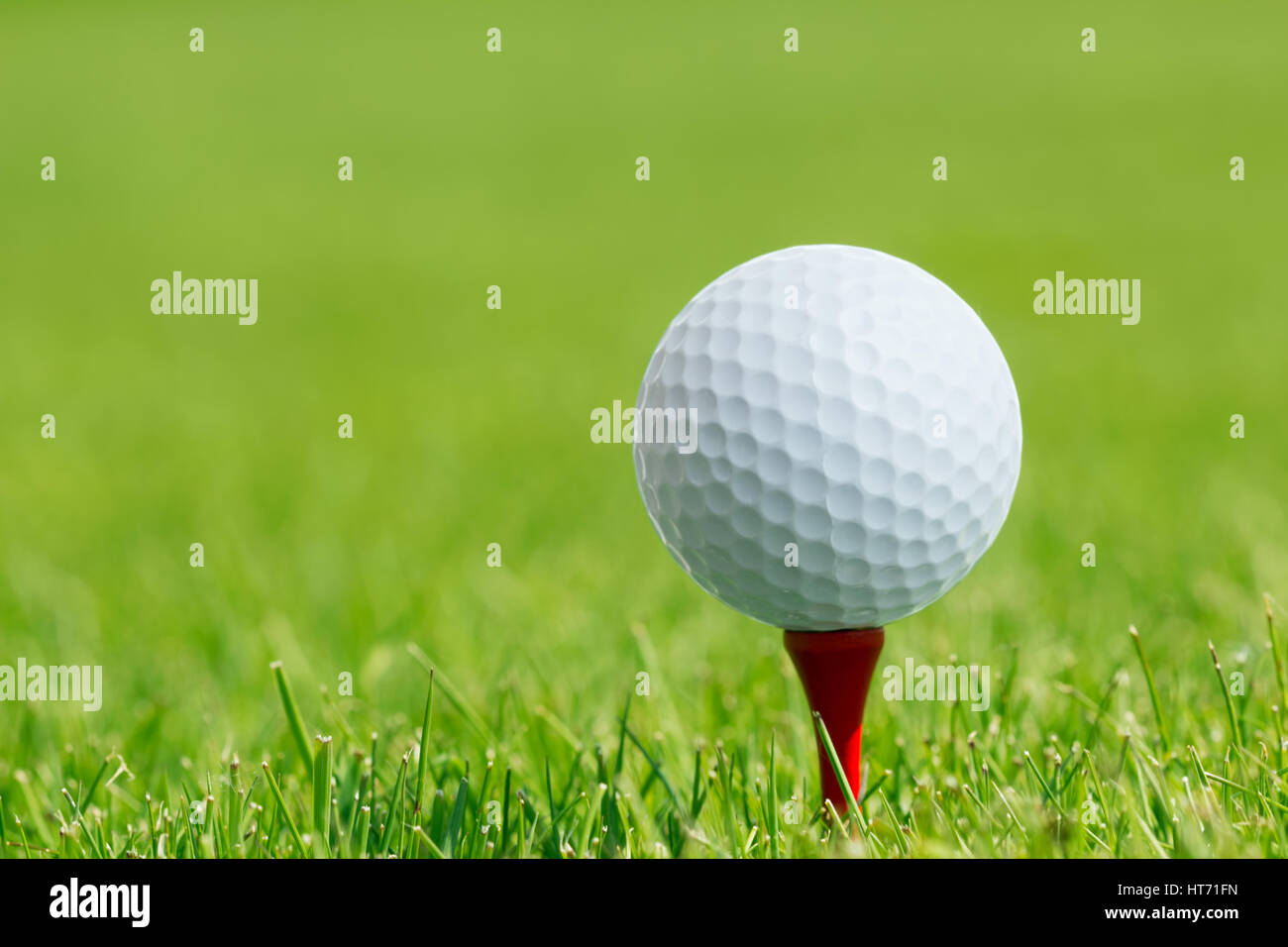 Golf ball in grass hi-res stock photography and images - Alamy