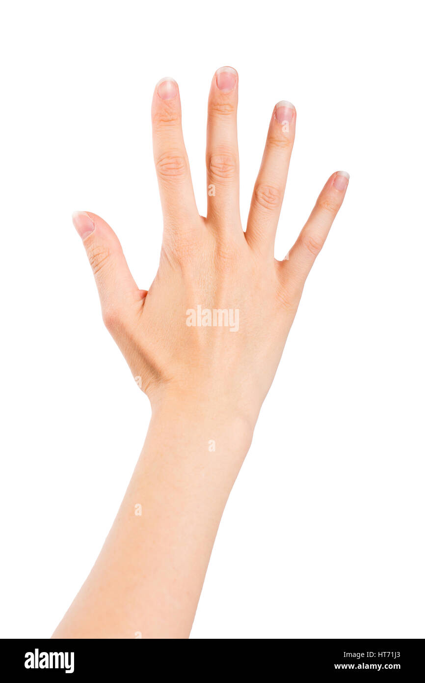 Human hand (woman), isolated on white background Stock Photo - Alamy