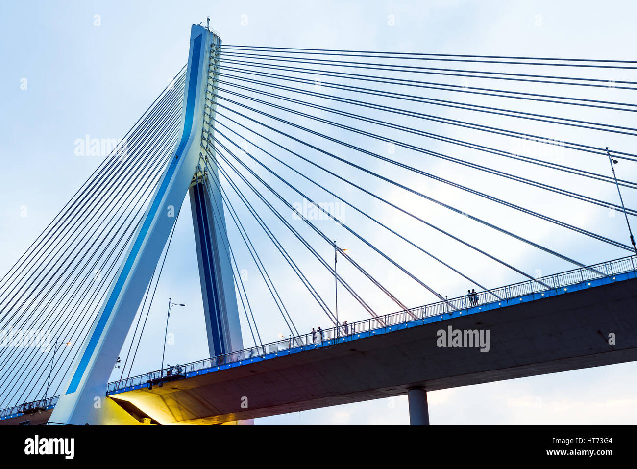 China Yangtze River cable-stayed bridge on the evening landscape Stock ...