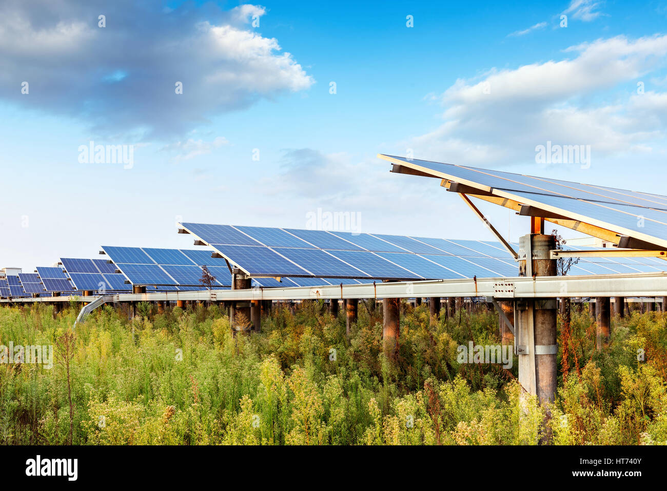 Solar panel produces green, environmentally friendly energy from the ...