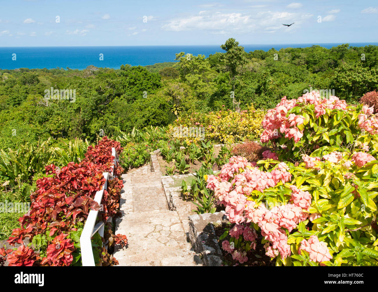 The view of the garden with a jungle landscape below in Jamaica Stock ...