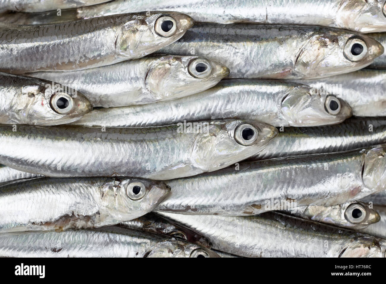 Fresh anchovies prepared seafood background texture or pattern. Raw ...