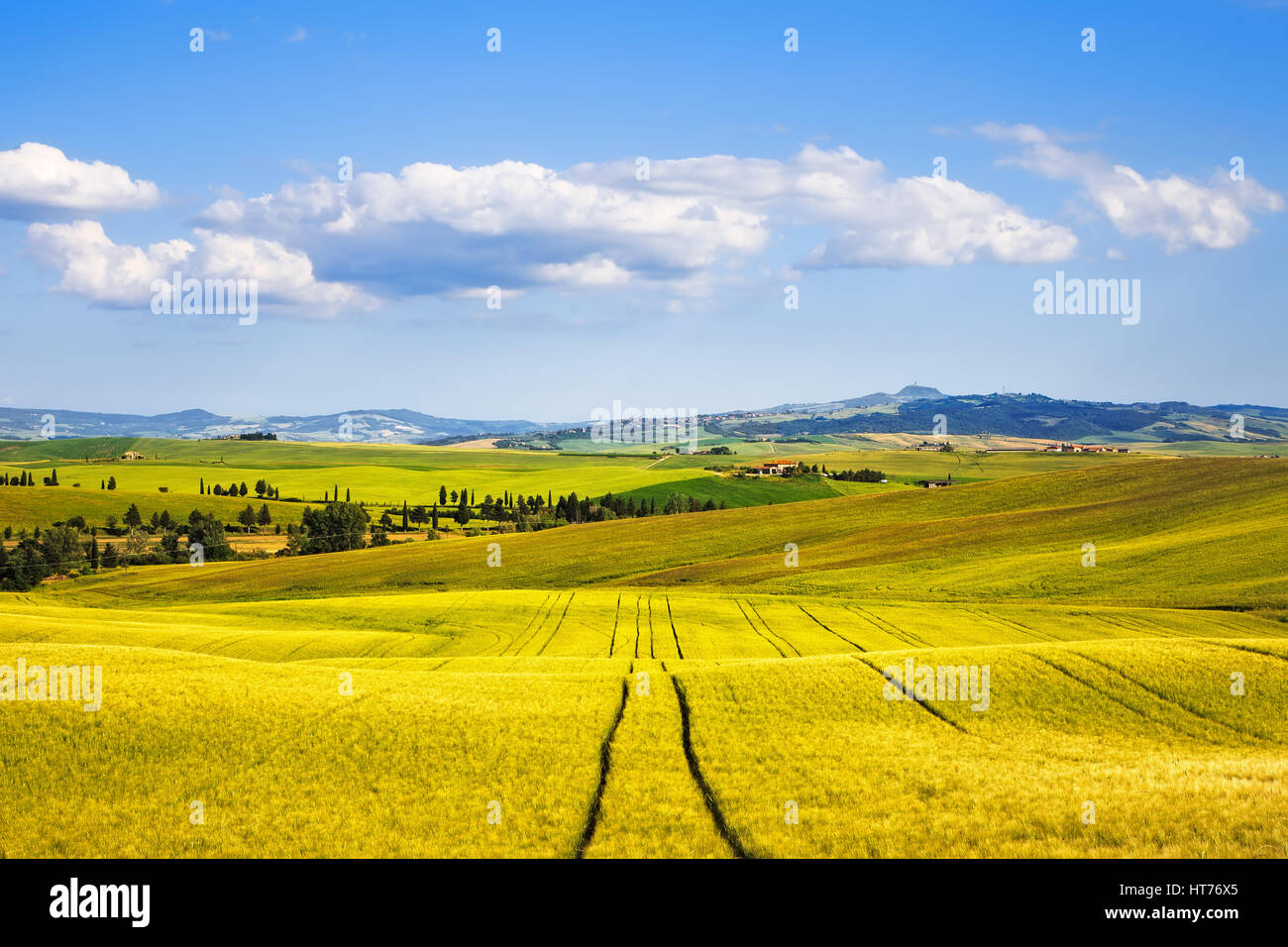 Golden Grass Scenic Rolling Hills Stock Photos & Golden Grass Scenic ...