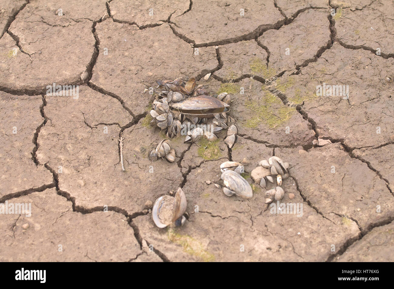 Receded surface hi-res stock photography and images - Alamy