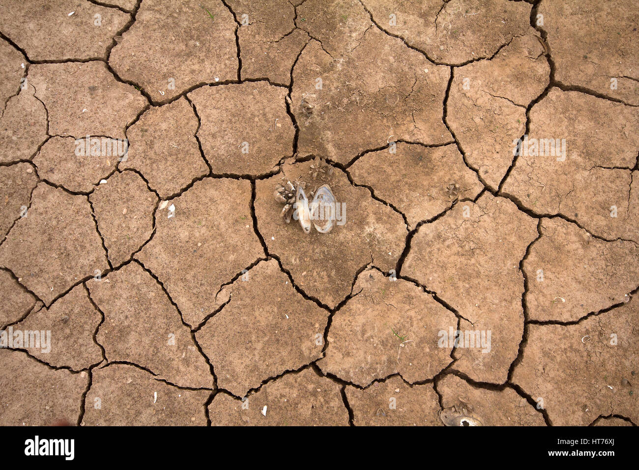 Receded surface hi-res stock photography and images - Alamy