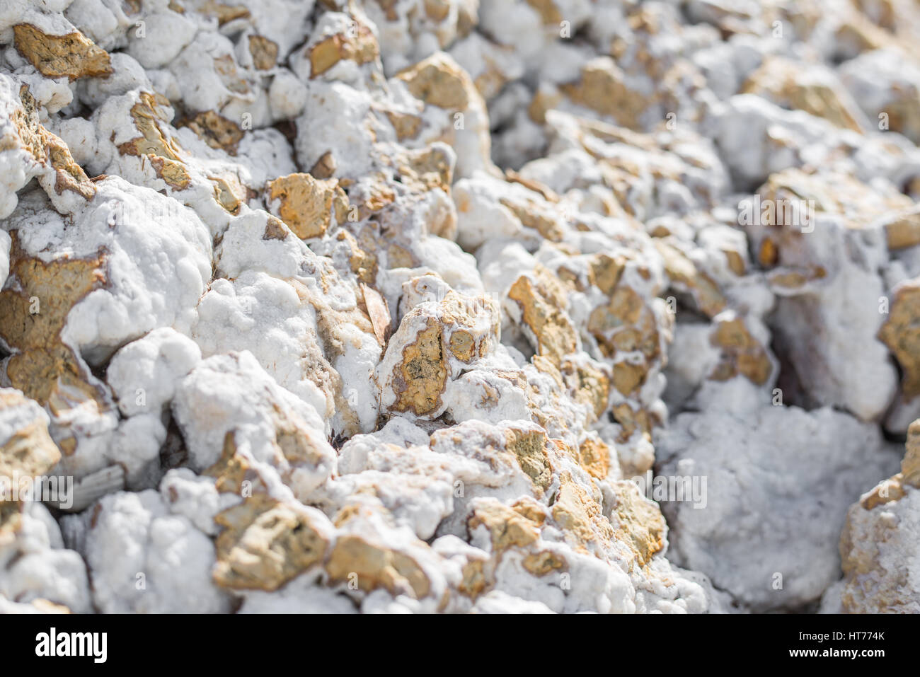 Rugged rocks on a shore covered with salt Stock Photo - Alamy