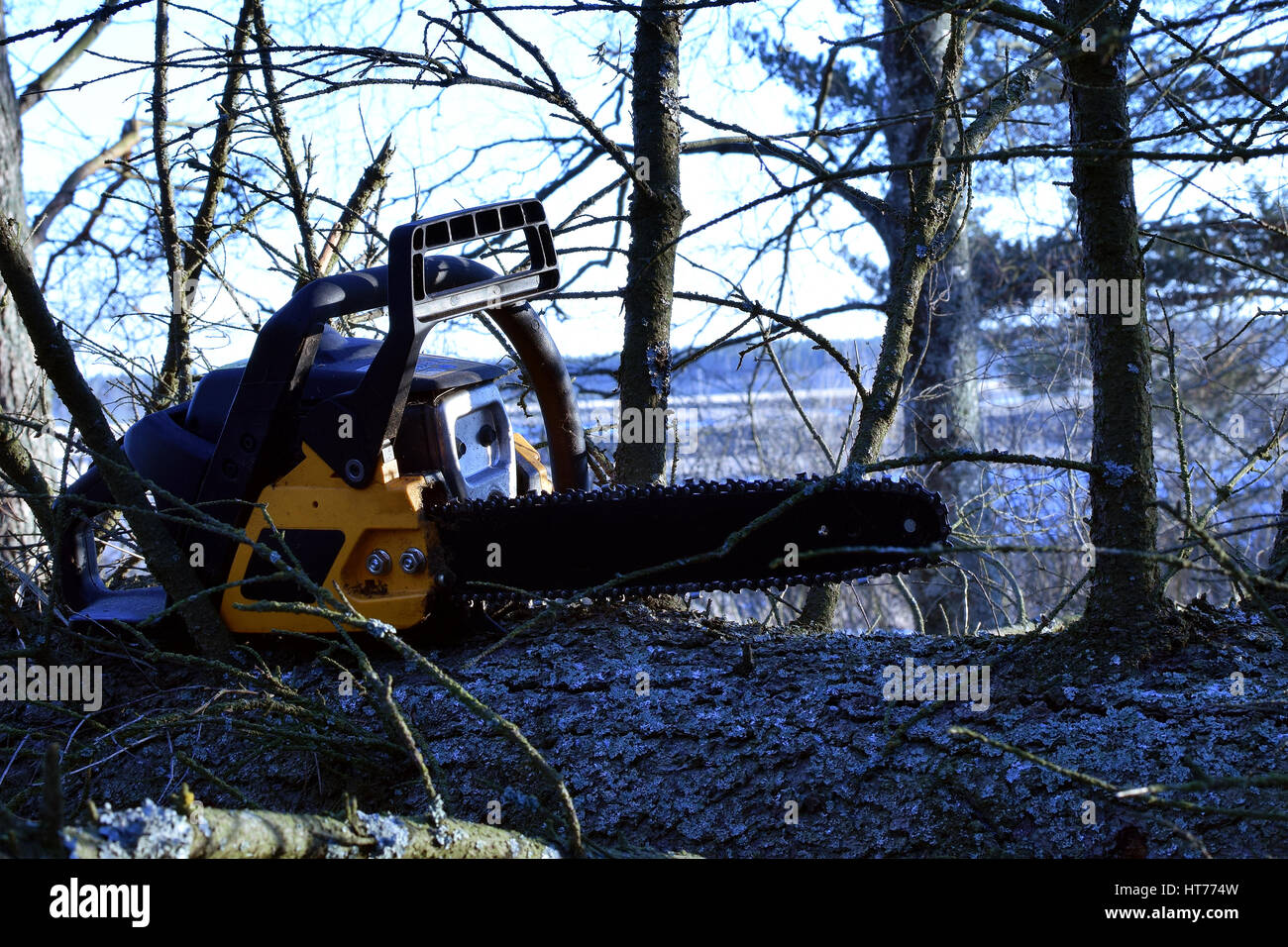Chain saw on a felled tree Stock Photo - Alamy