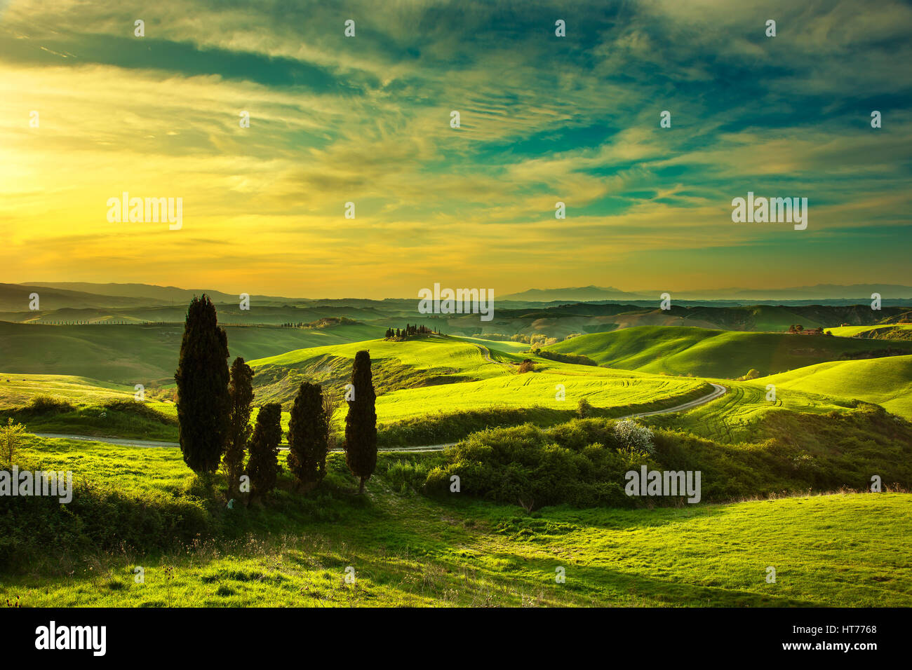 Tuscany, rural sunset landscape. Cypress trees, green field, sun light ...