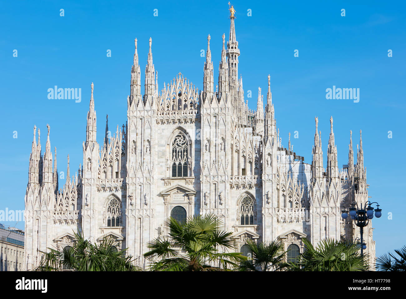 Duomo palm trees hi-res stock photography and images - Alamy
