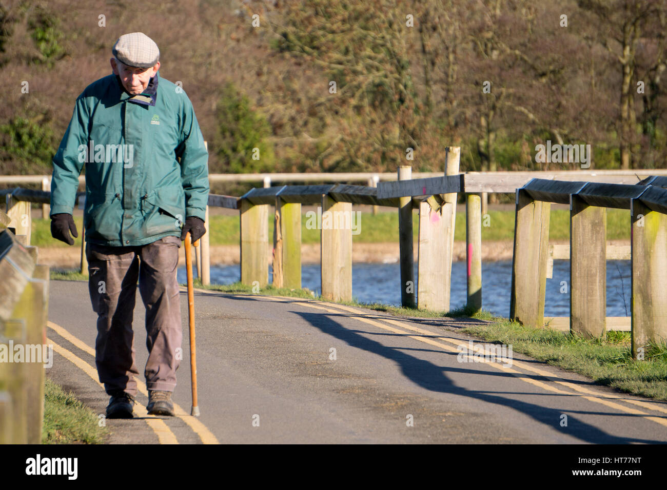 Old man walking with a stick Stock Photo - Alamy