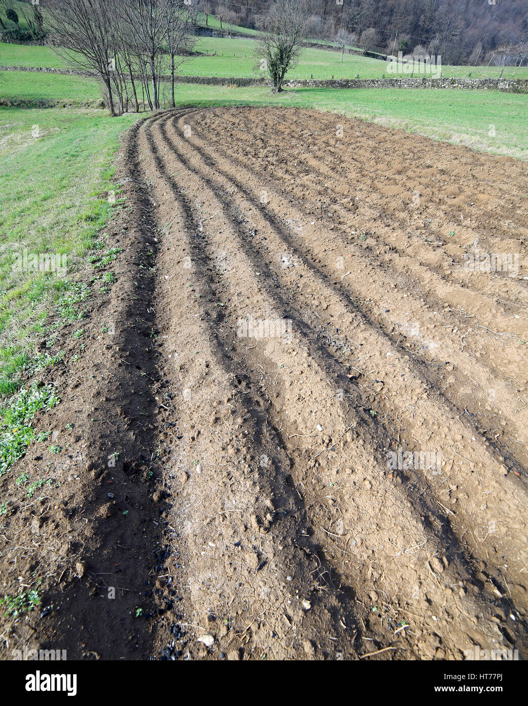 large vegetable garden plow to perfection when it is sown in the spring ...