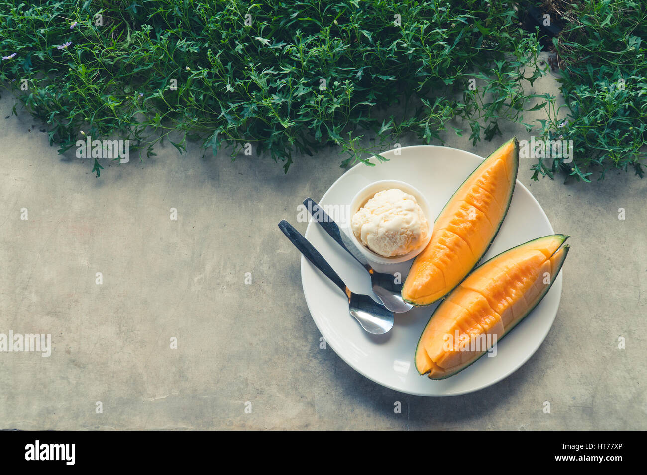 Melon sliced with vanilla ice cream dessert,Summer freshness concept ...