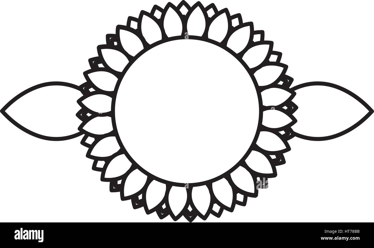 cute sunflower isolated icon Stock Vector Image & Art - Alamy