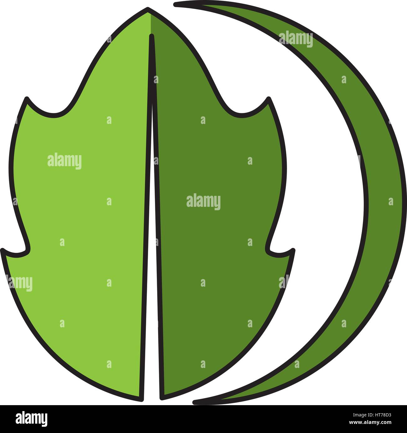leaf plant ecology symbol Stock Vector Image & Art - Alamy
