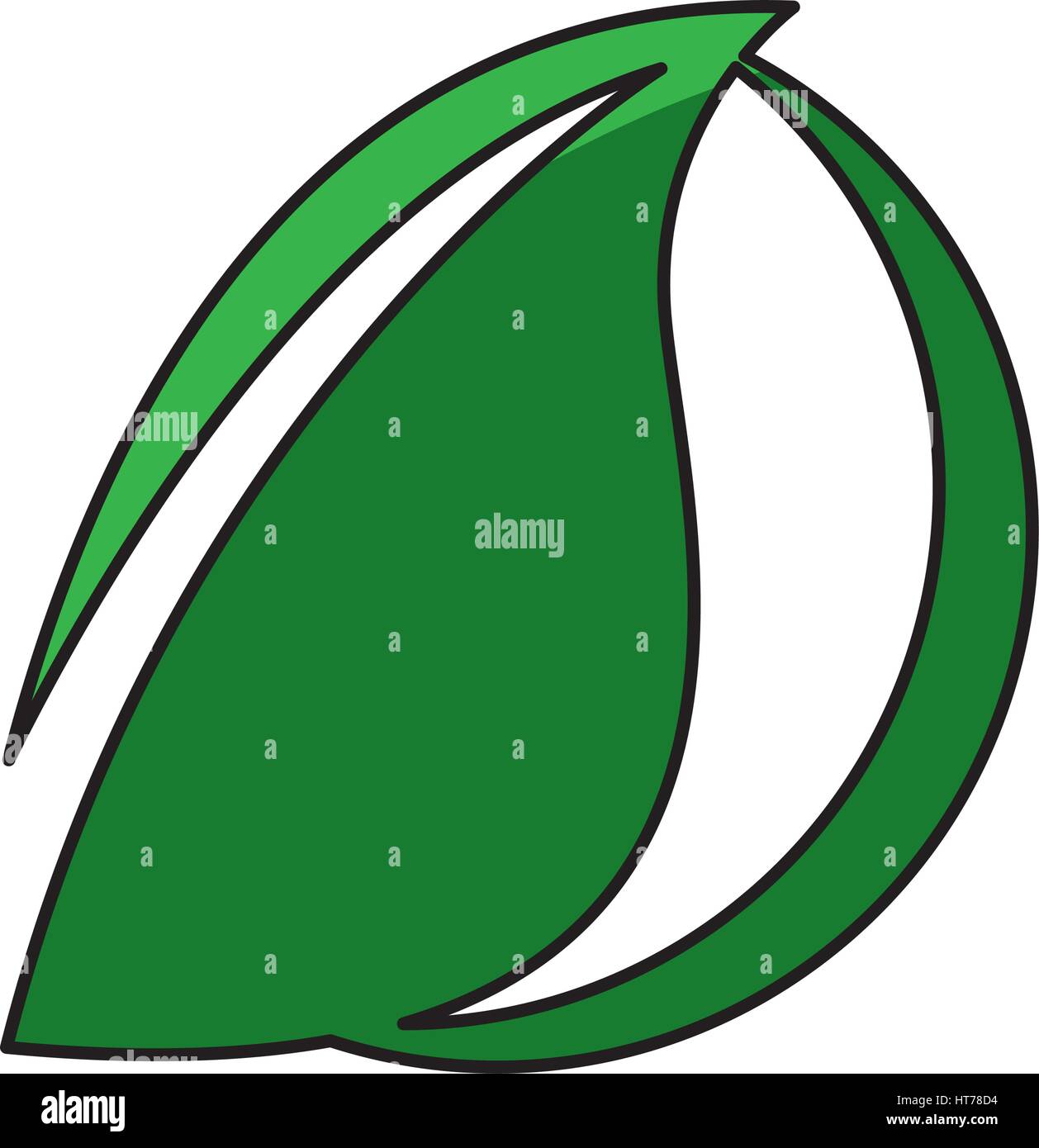 leaf plant ecology symbol Stock Vector Image & Art - Alamy