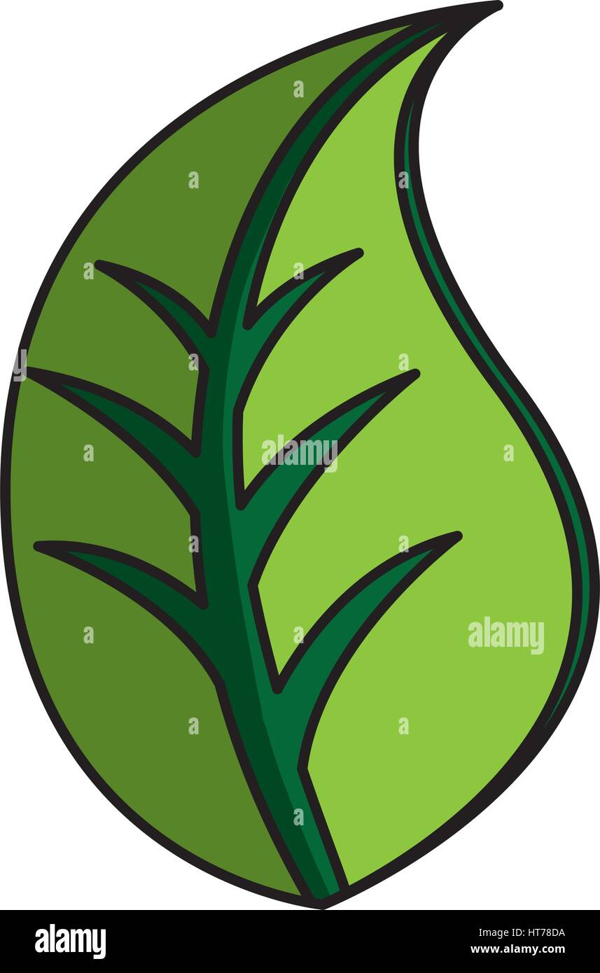 leaf plant ecology symbol Stock Vector Image & Art - Alamy