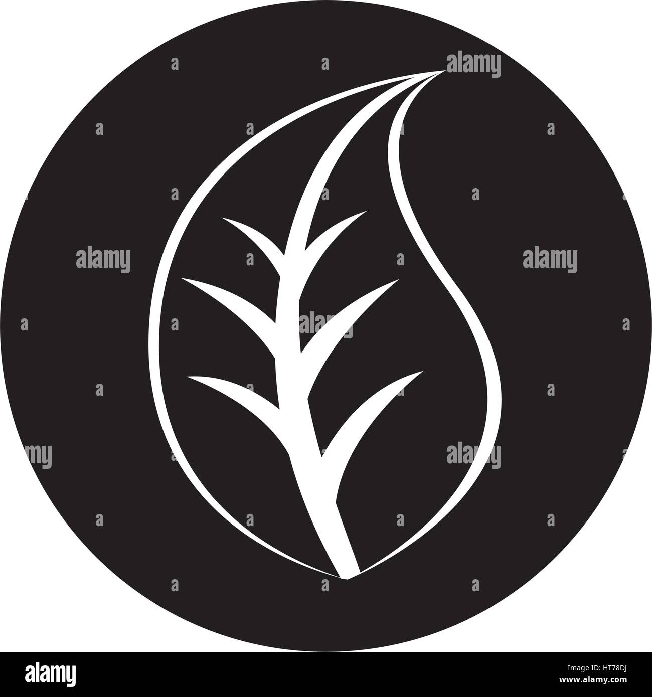 leaf plant ecology symbol Stock Vector Image & Art - Alamy