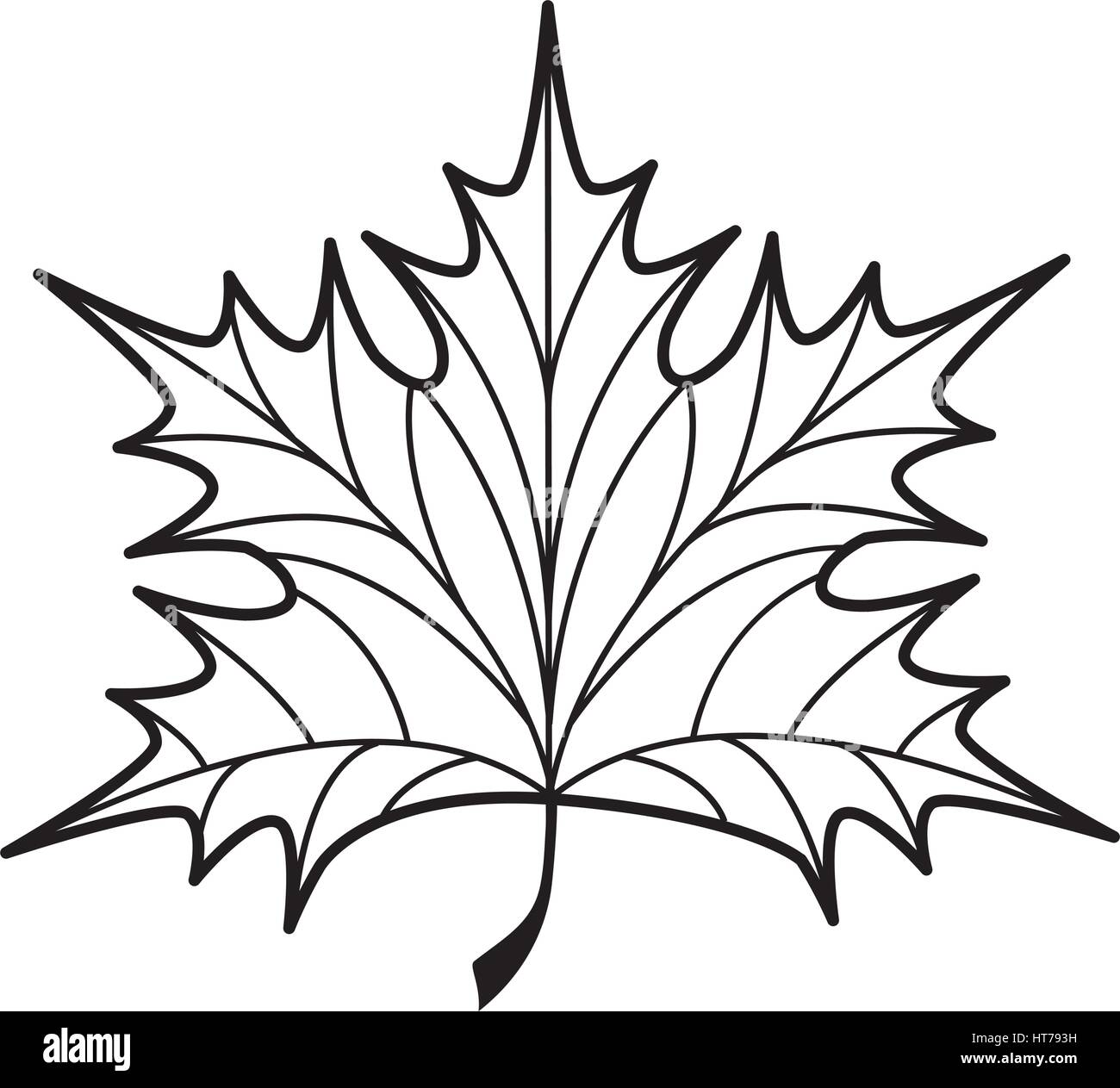 leaf plant ecology symbol Stock Vector Image & Art - Alamy