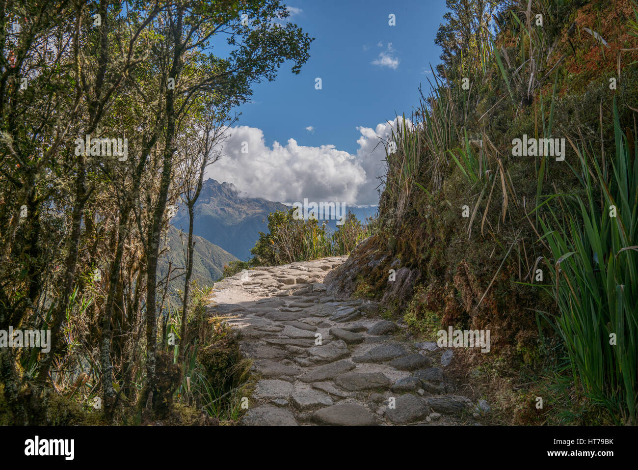 Curved hiking trail hi-res stock photography and images - Alamy