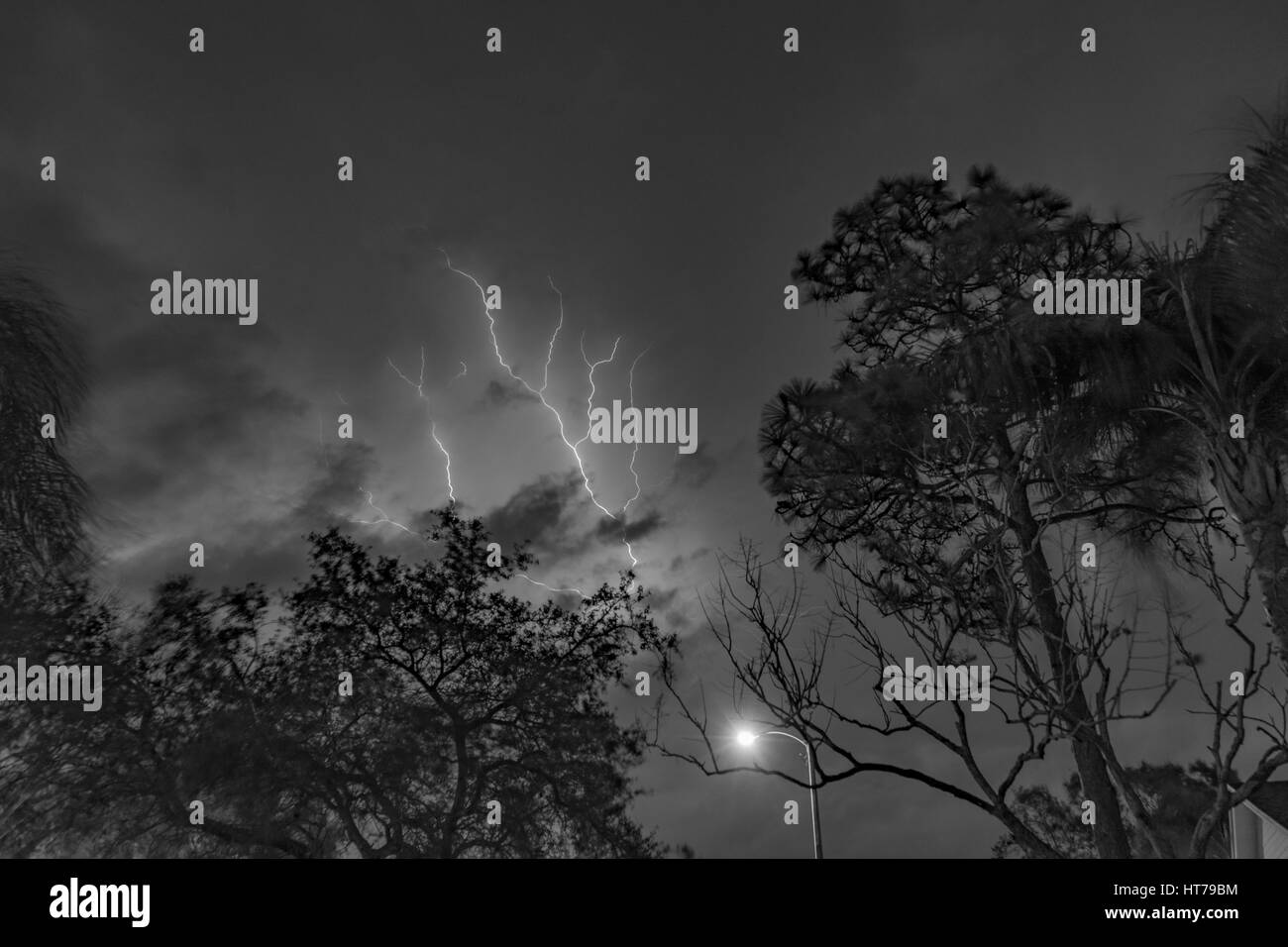Lightning Sprays Across the Sky During a Thunderstorm in Melbourne ...