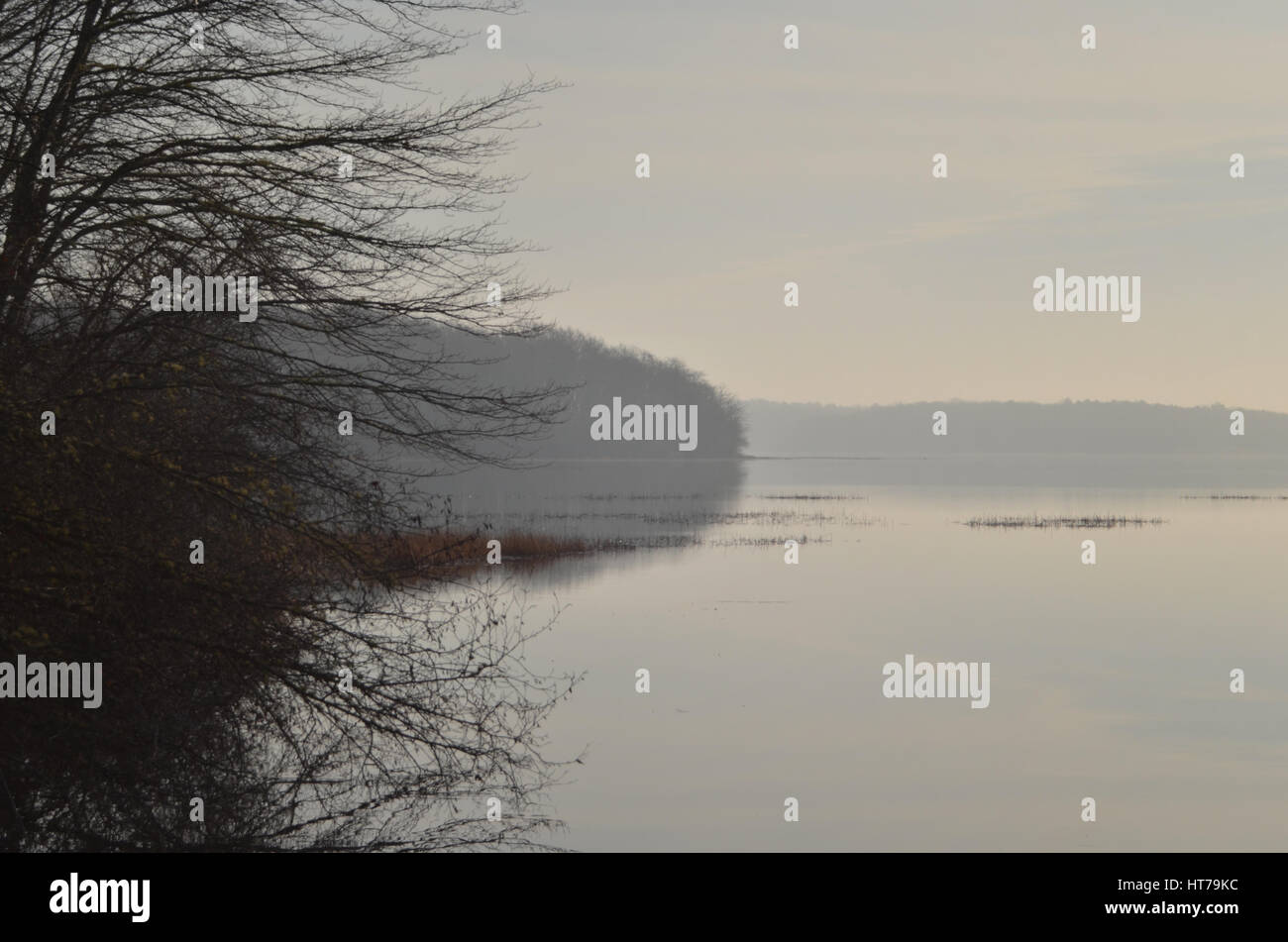 A misty morning on a still pond Stock Photo - Alamy