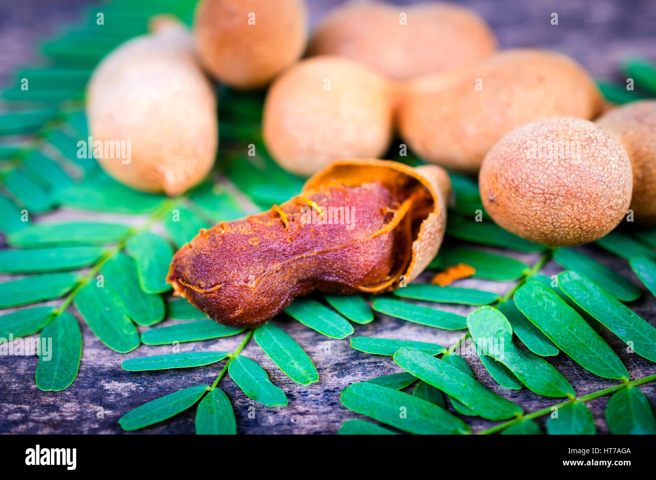 group of Tamarind on green leaves background with soft focus Stock ...