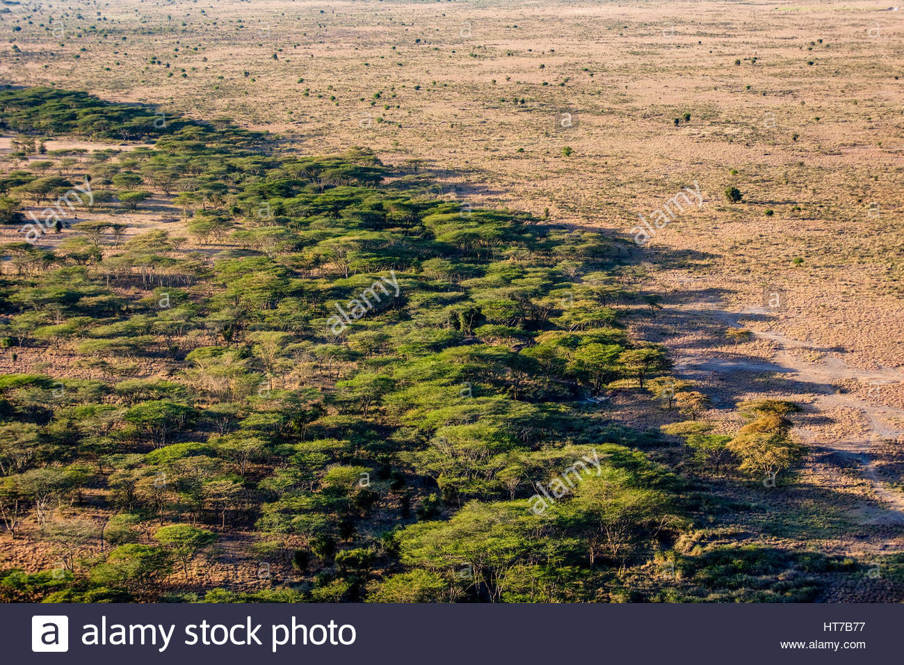 Scrubland Stock Photos & Scrubland Stock Images - Alamy