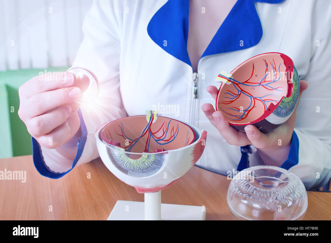 Ophthalmology oculus sample closeup. Ophthalmology, eye model close-up ...