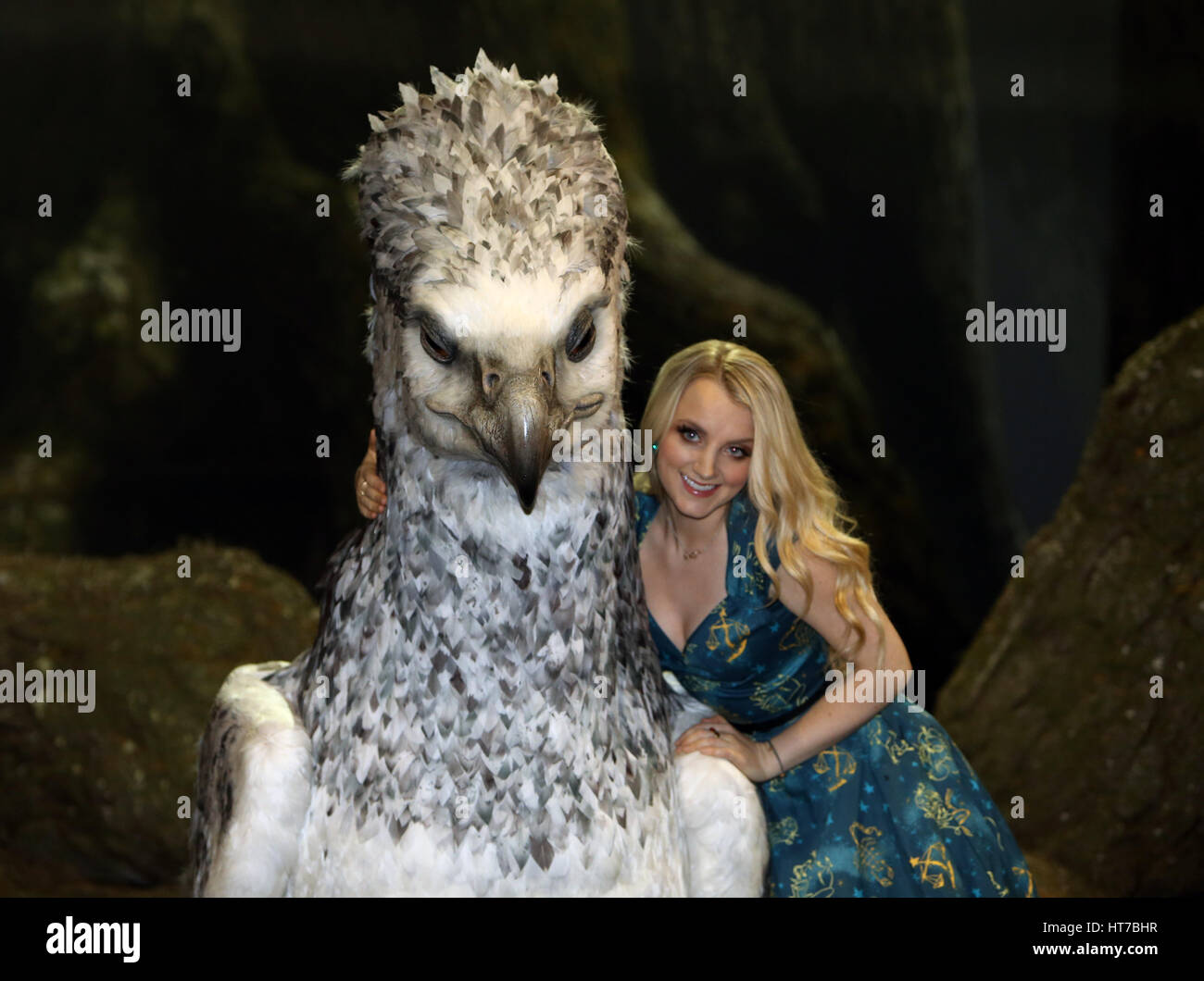 Buckbeak High Resolution Stock Photography and Images - Alamy