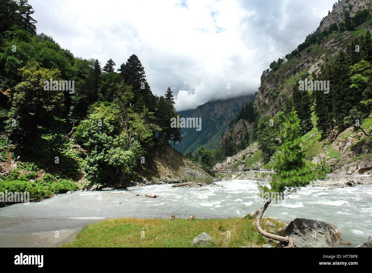 Beautiful Land Pahalgam, A Tourist Destination, Paradise on the Earth ...