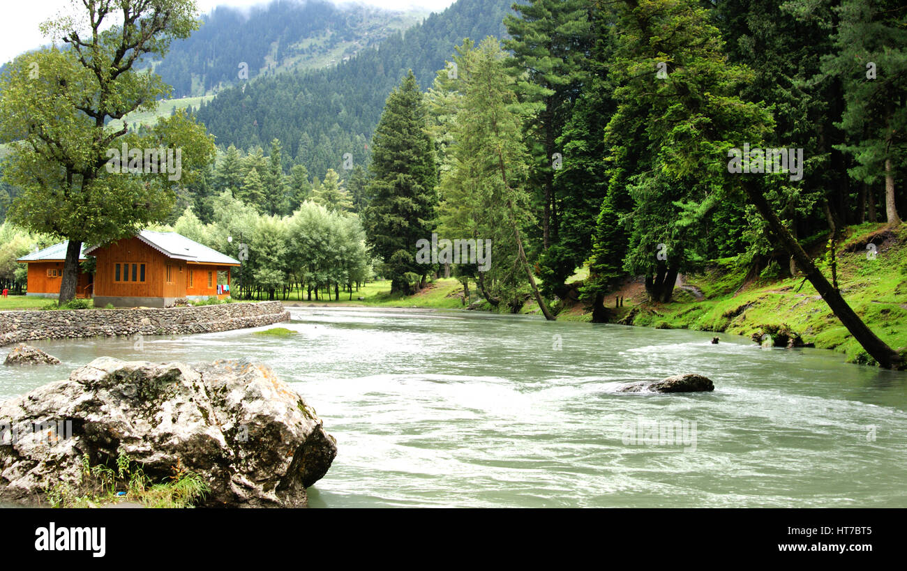 Beautiful Land Pahalgam, A Tourist Destination, Paradise on the Earth ...