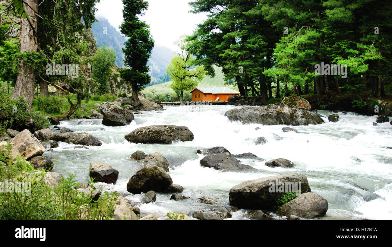 Beautiful Land Pahalgam, A Tourist Destination, Paradise on the Earth ...