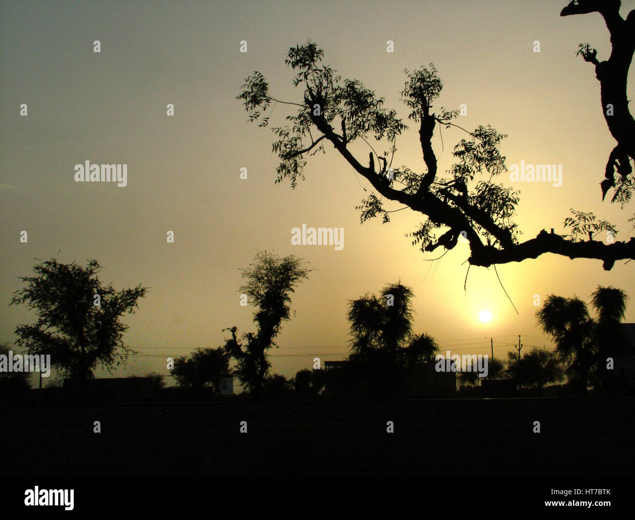 Kerala Golden Sunset Seen from Forest, (Copyright © Saji Maramon Stock ...