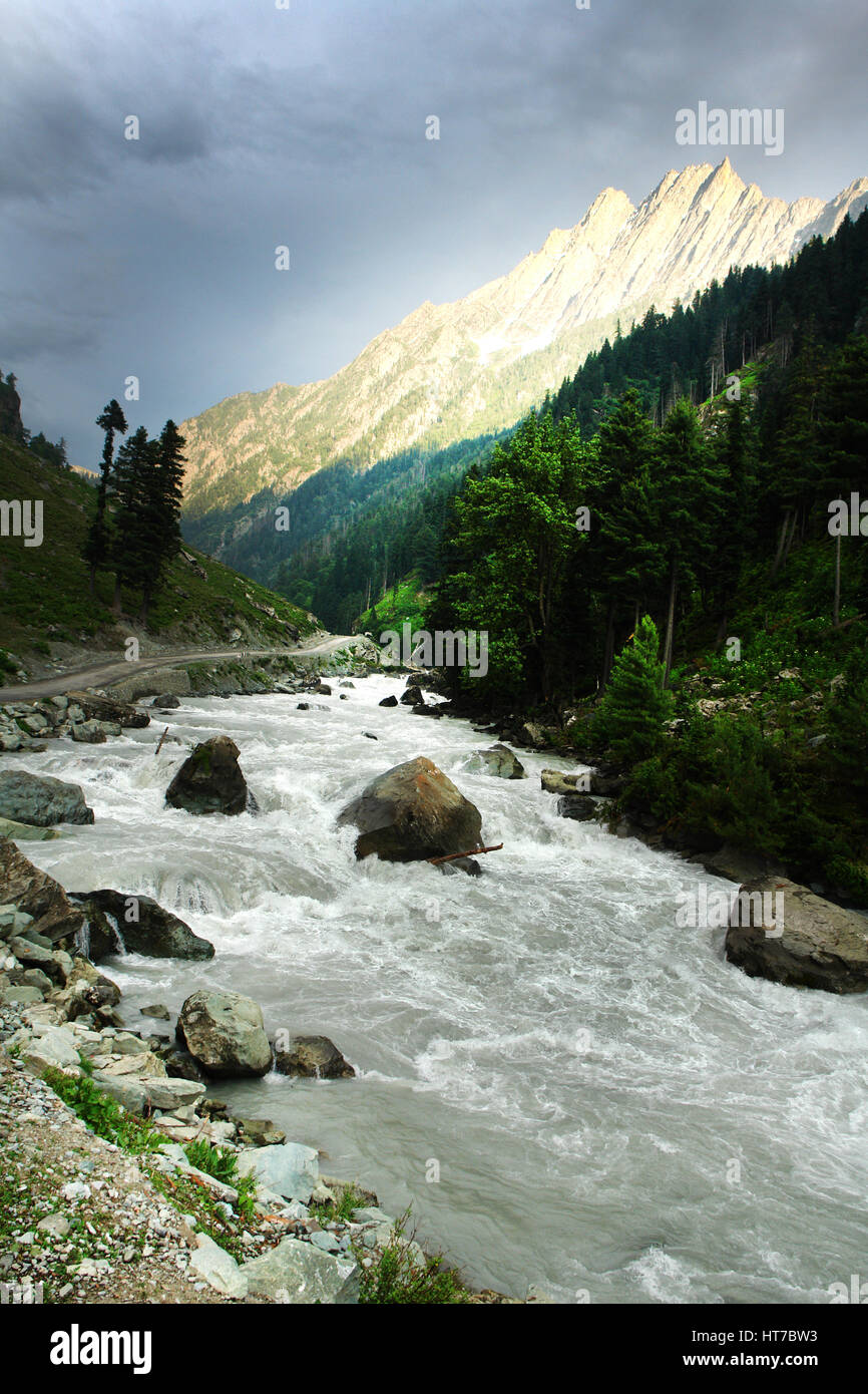 Beautiful Land Pahalgam, A Tourist Destination, Paradise on the Earth ...
