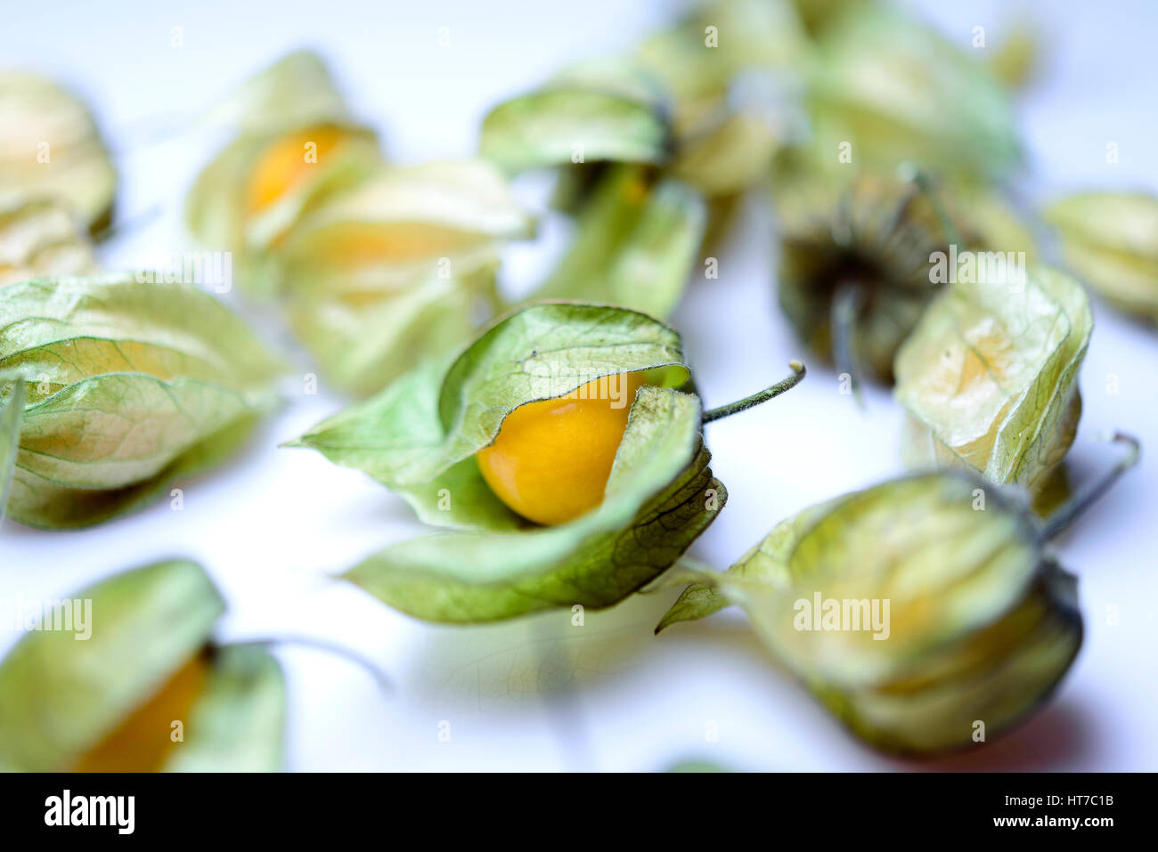 Golden Berries with White Background Stock Photo - Alamy