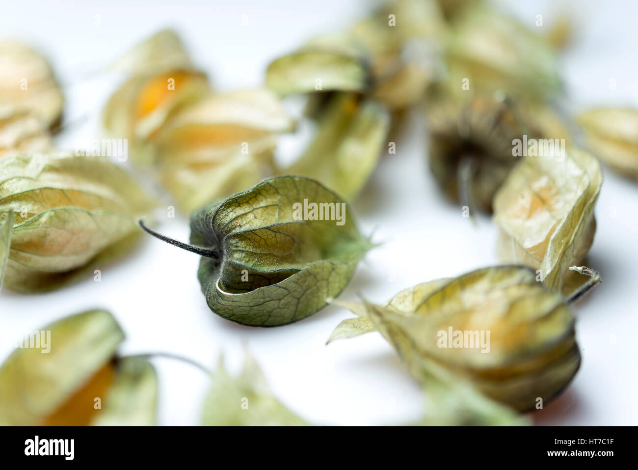 Physalis golden gooseberry isolated hi-res stock photography and images ...