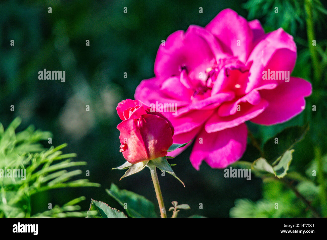 The big wide open hi-res stock photography and images - Alamy