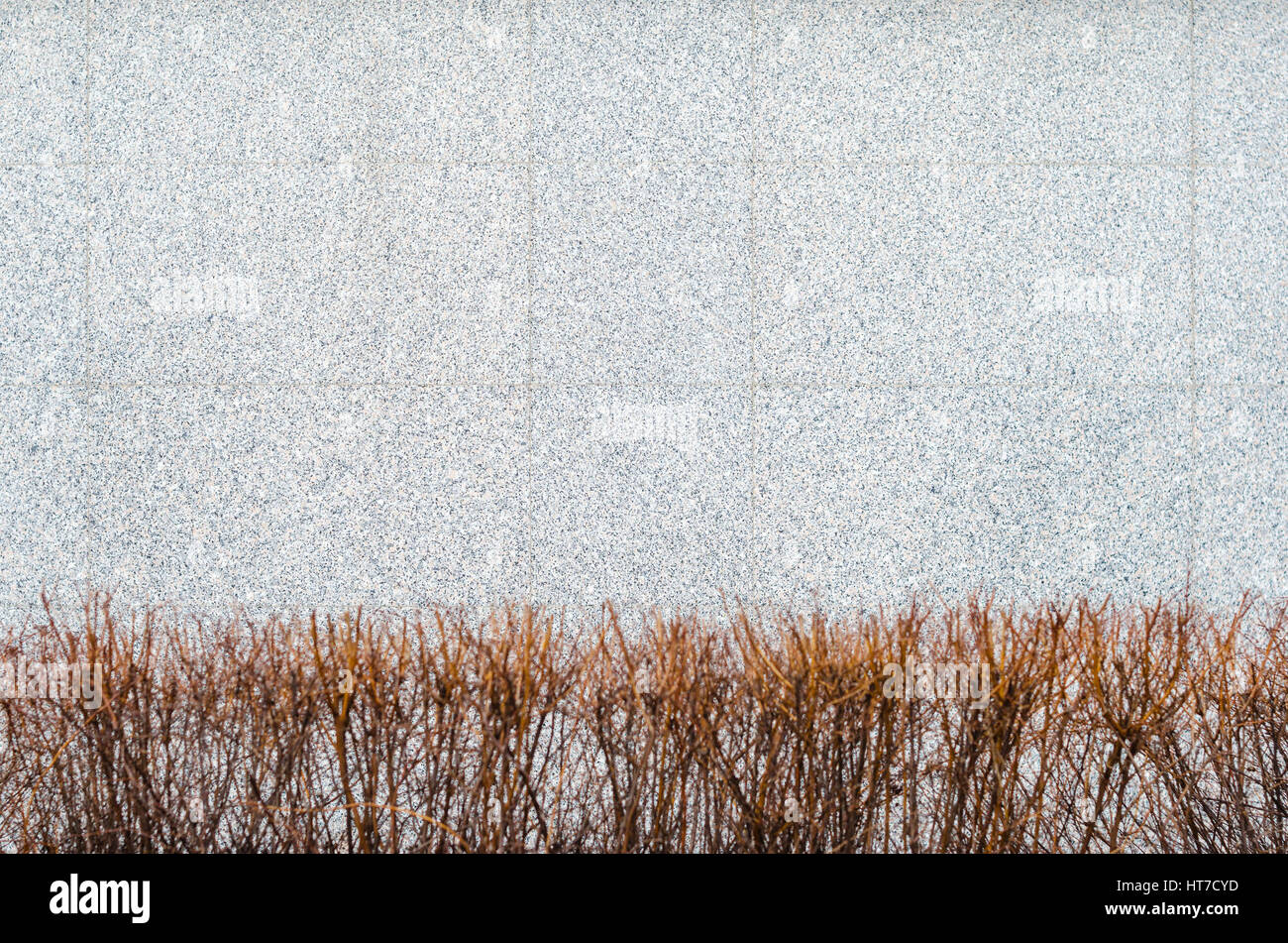 Bushes without leaves hi-res stock photography and images - Alamy