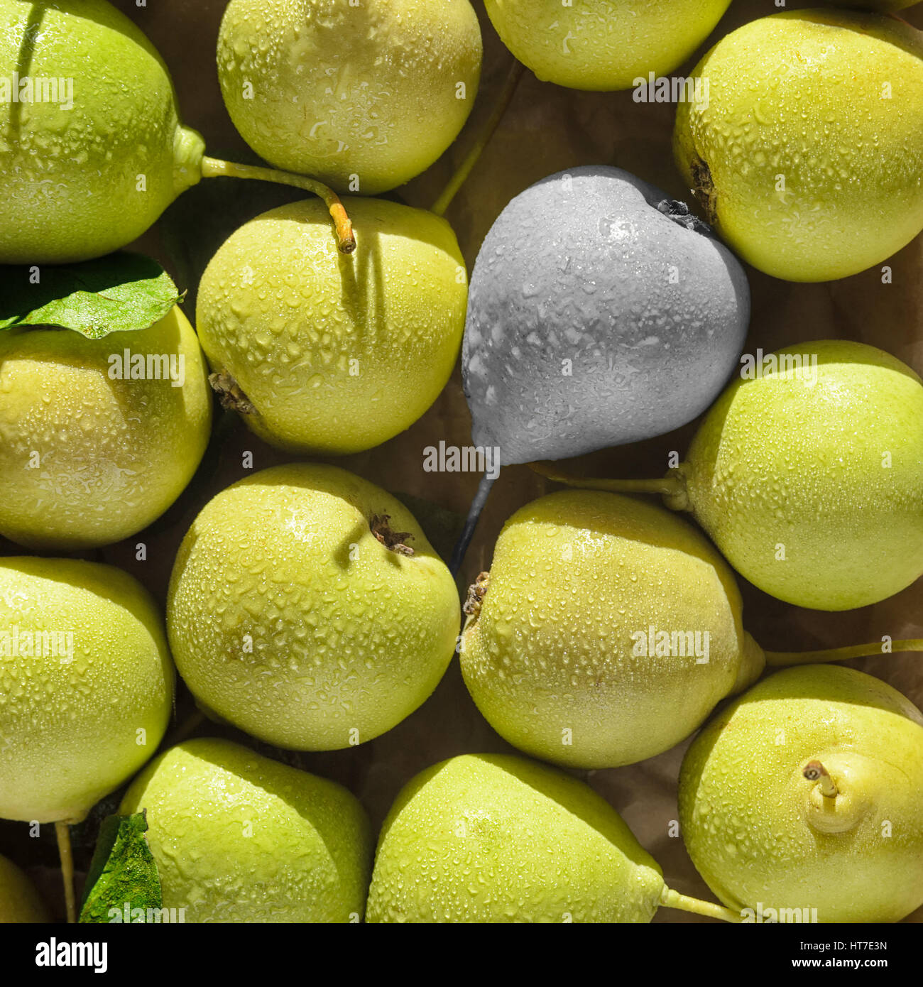 Juicy green pears with water drops on crumpled craft paper. Alone gray ...
